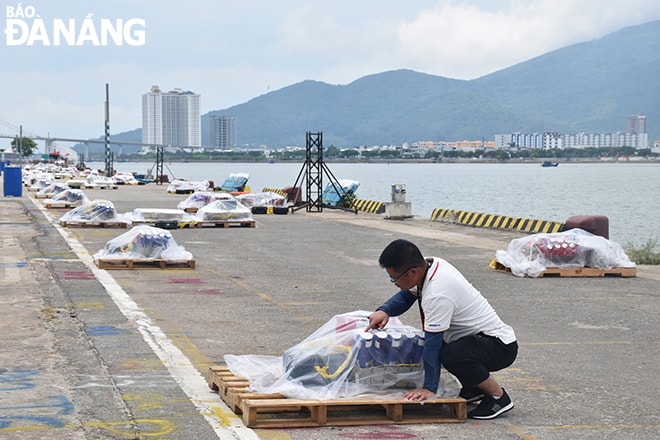 Chân dung 10 "anh tài" tham gia DIFF 2025