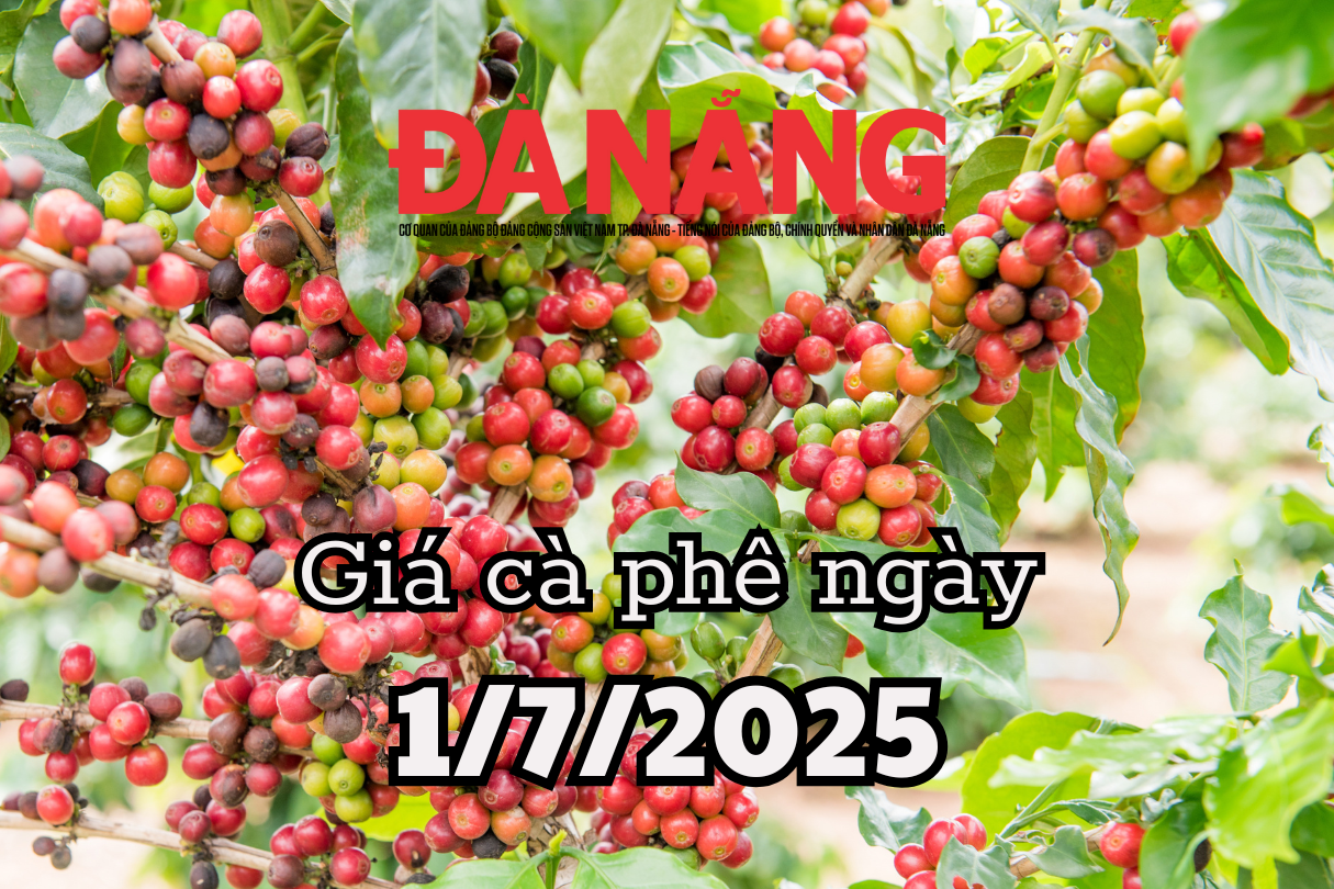 Coffee prices today, July 1, 2025, disrupt the global market, breaking ...