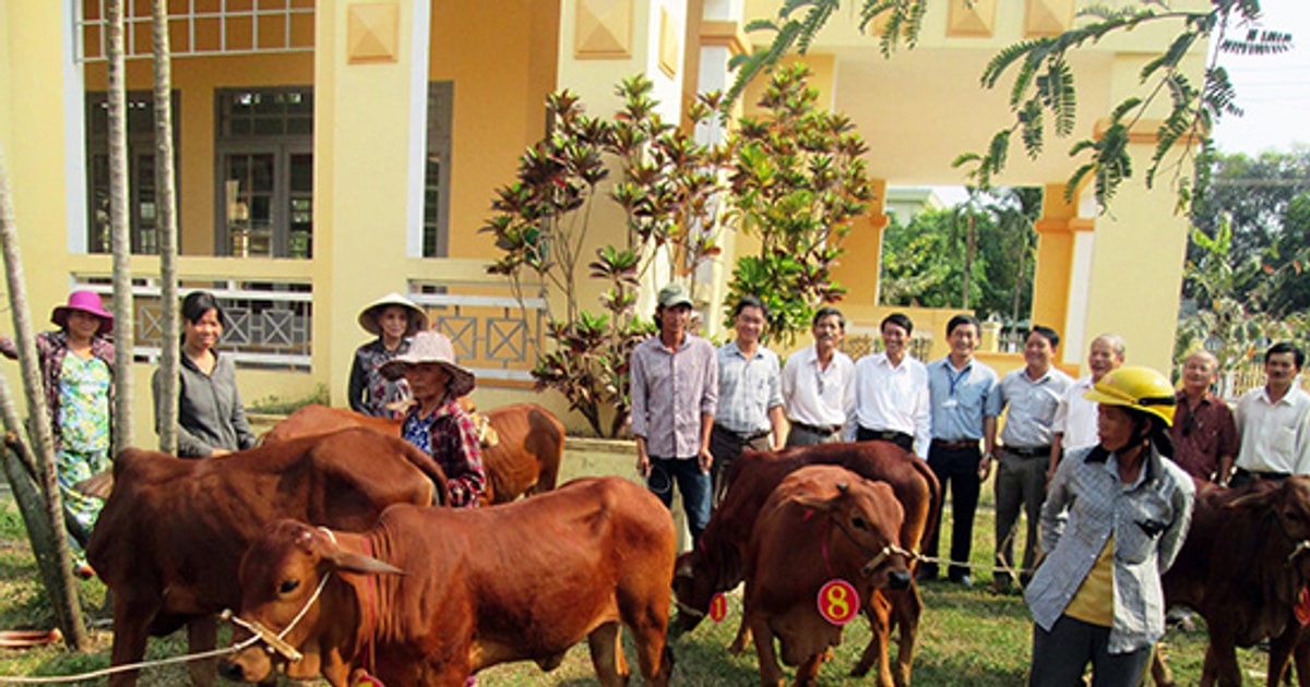 Hội đồng hương Duy Trinh tại TP.Hồ Chí Minh tặng bò giống cho hộ nghèo