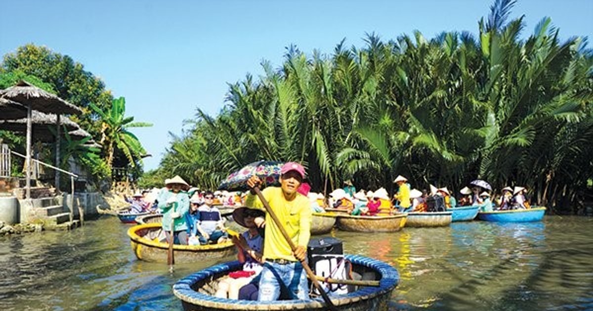 Nipa palm forest in Hoi An