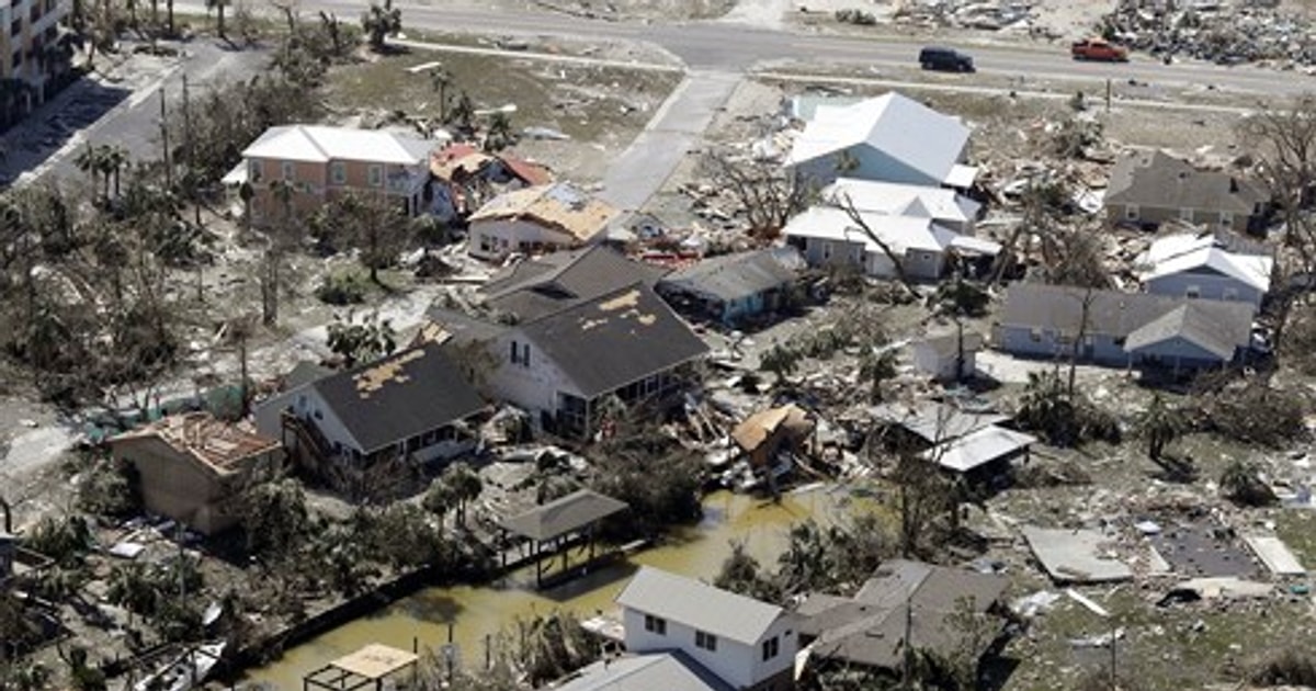 Bão Michael quật đổ nhiều cây xanh, làm 7 người chết tại Mỹ