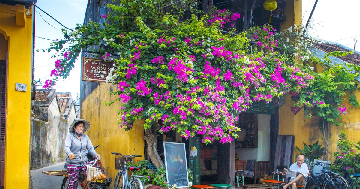 Nghĩa xóm làng ở kiệt Phi Anh