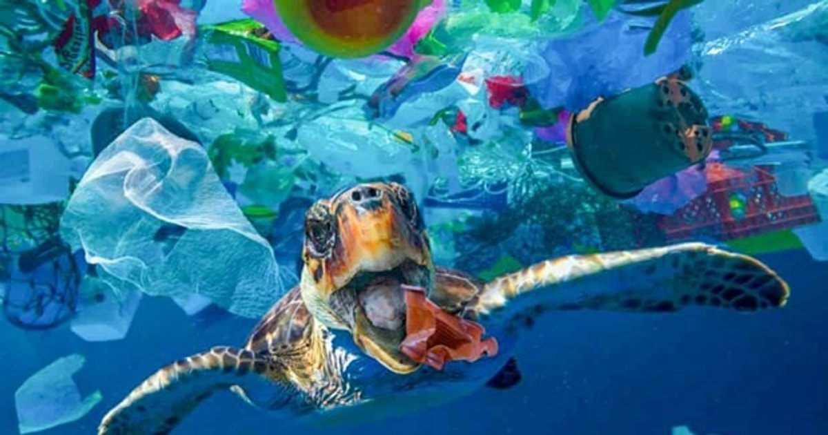 Vietnam, Japan cooperate in ocean waste management