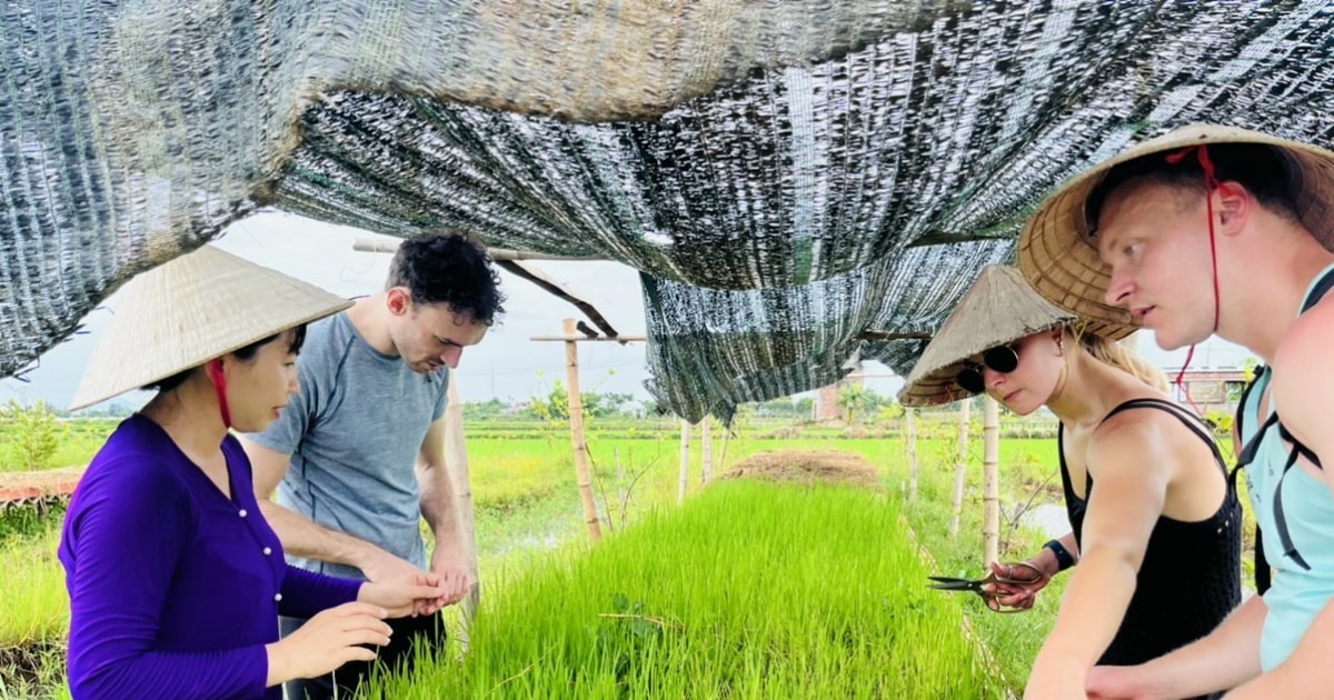 Rural tourism development in Vietnam