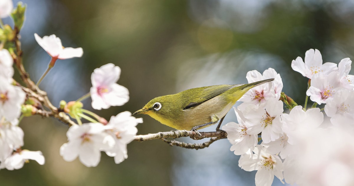 Tâm sự đầu năm