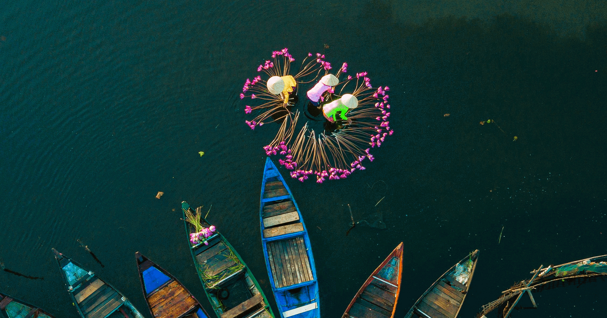 Biodiversity in the Dam River