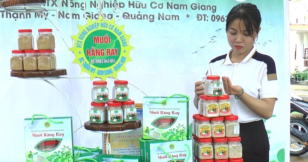 Rằng ray - gia vị đặc trưng của đồng bào Nam Giang