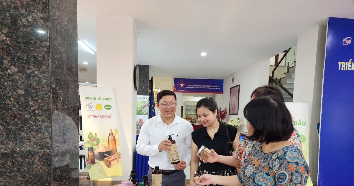 Quế Trà My tham gia lễ hội "Quế và tinh dầu quế"