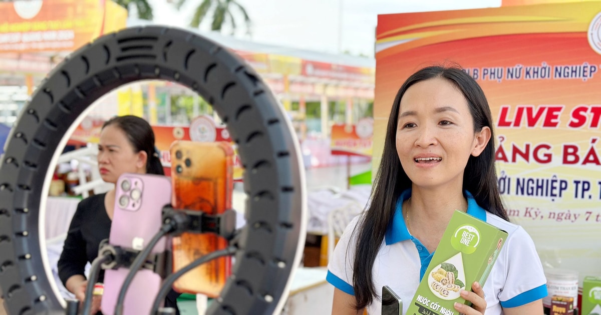 Phát triển và quản lý thương mại điện tử
