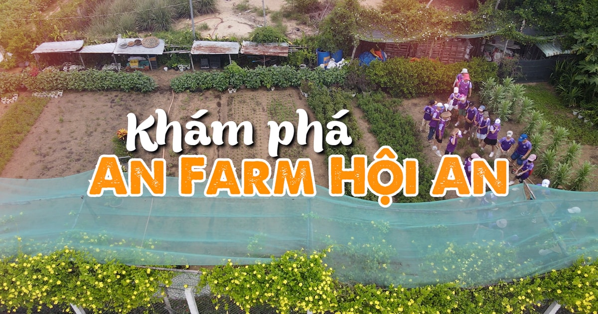 Khám phá An Farm Hội An