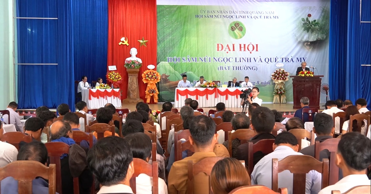 Thành lập Hội sâm Ngọc Linh và Hội quế Trà My