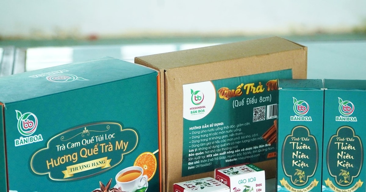 Bắc Trà My công nhận mới 7 sản phẩm OCOP đạt chuẩn 3 sao