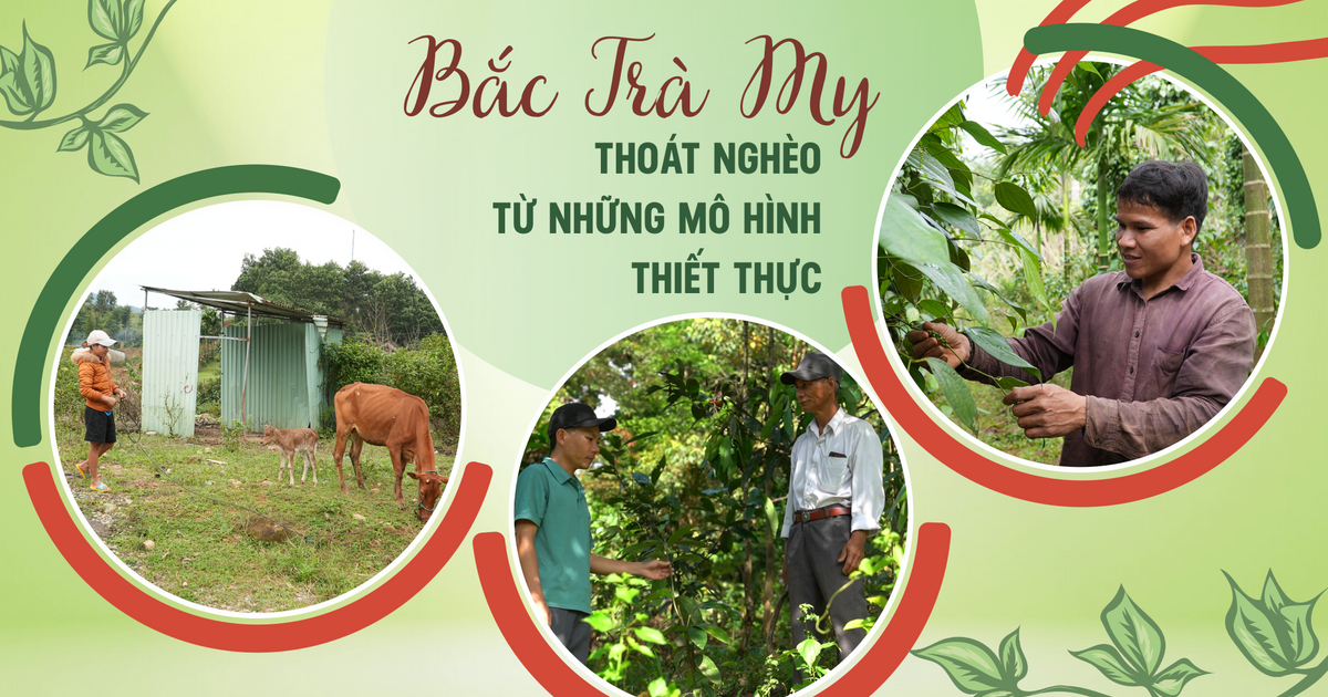 Bắc Trà My thoát nghèo từ những mô hình thiết thực