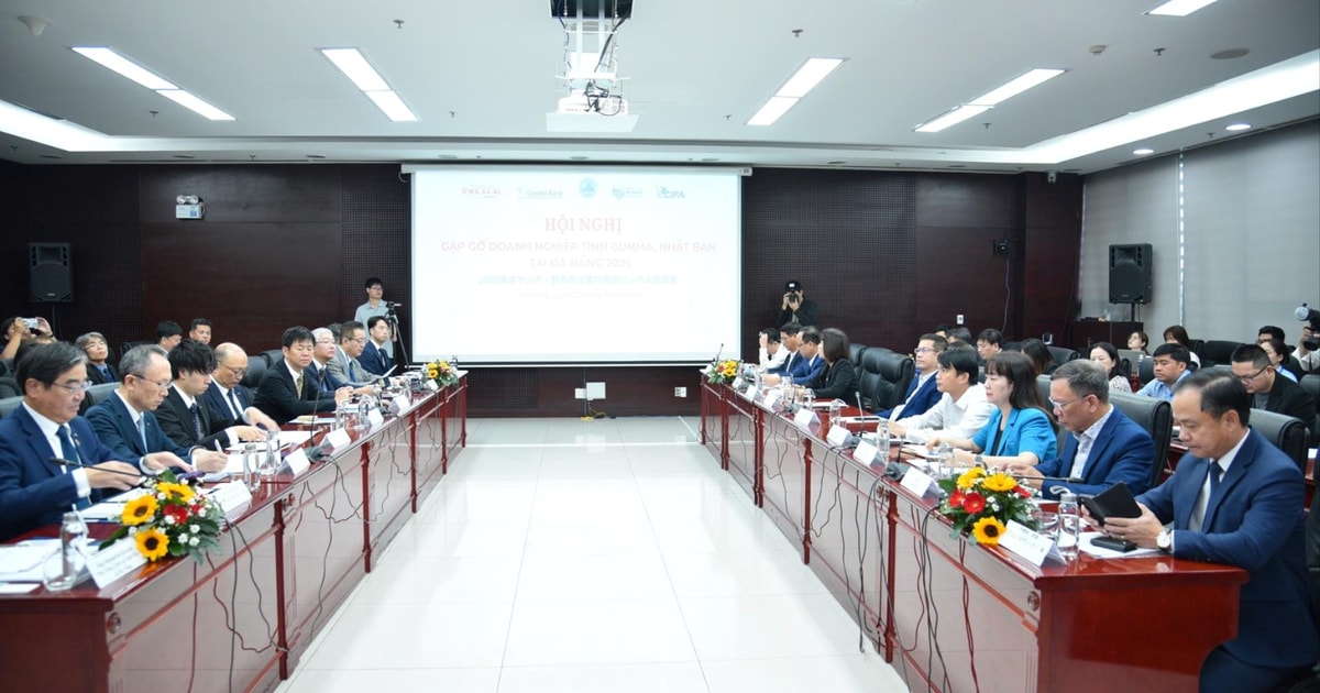 Da Nang, Japan’s Gunma expand investment and business cooperation