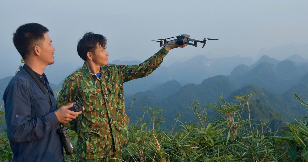 Application of smart forest management technologies