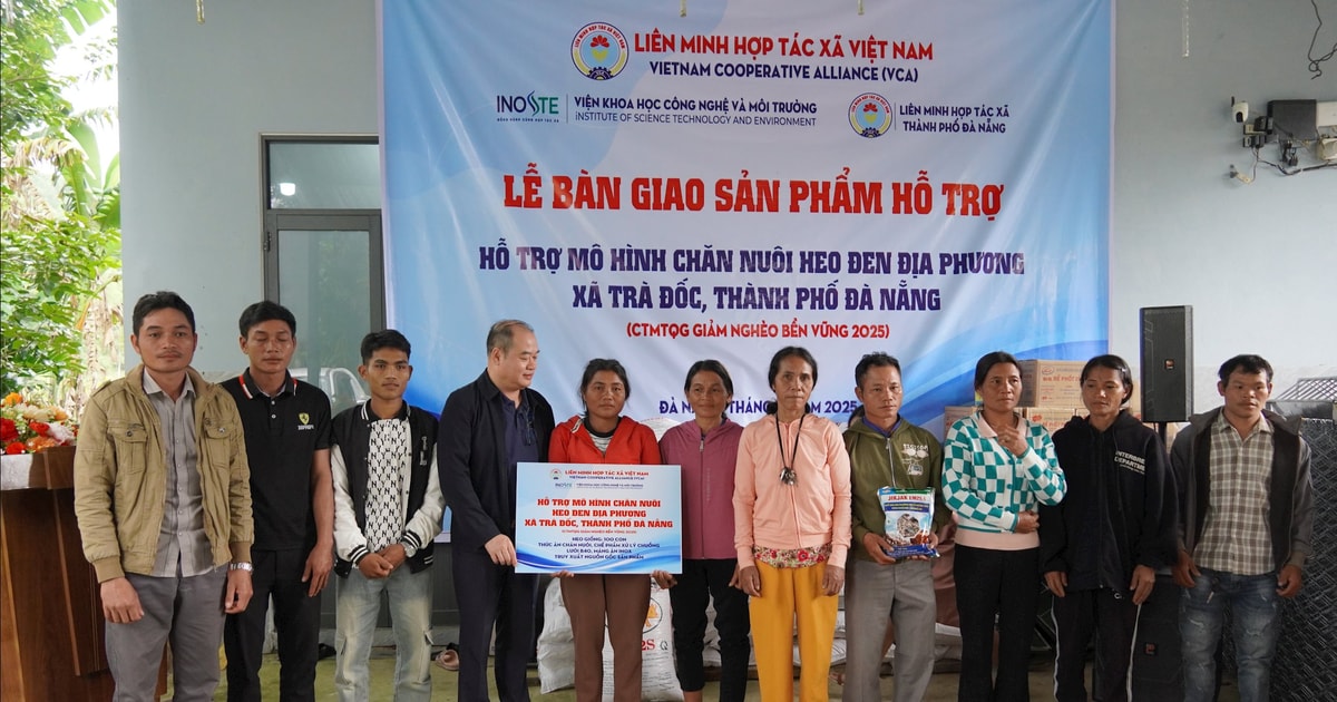 Mở hướng thoát nghèo từ mô hình nuôi heo đen địa phương