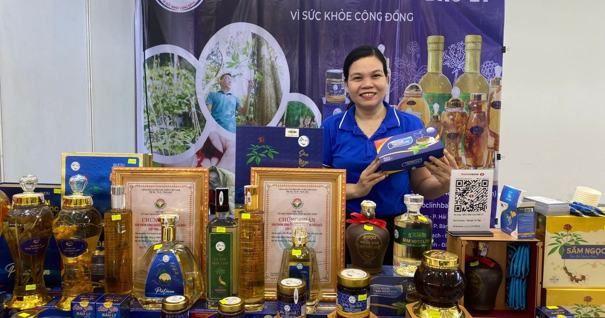 Da Nang to promote products at National Spring Fair 2026 in February