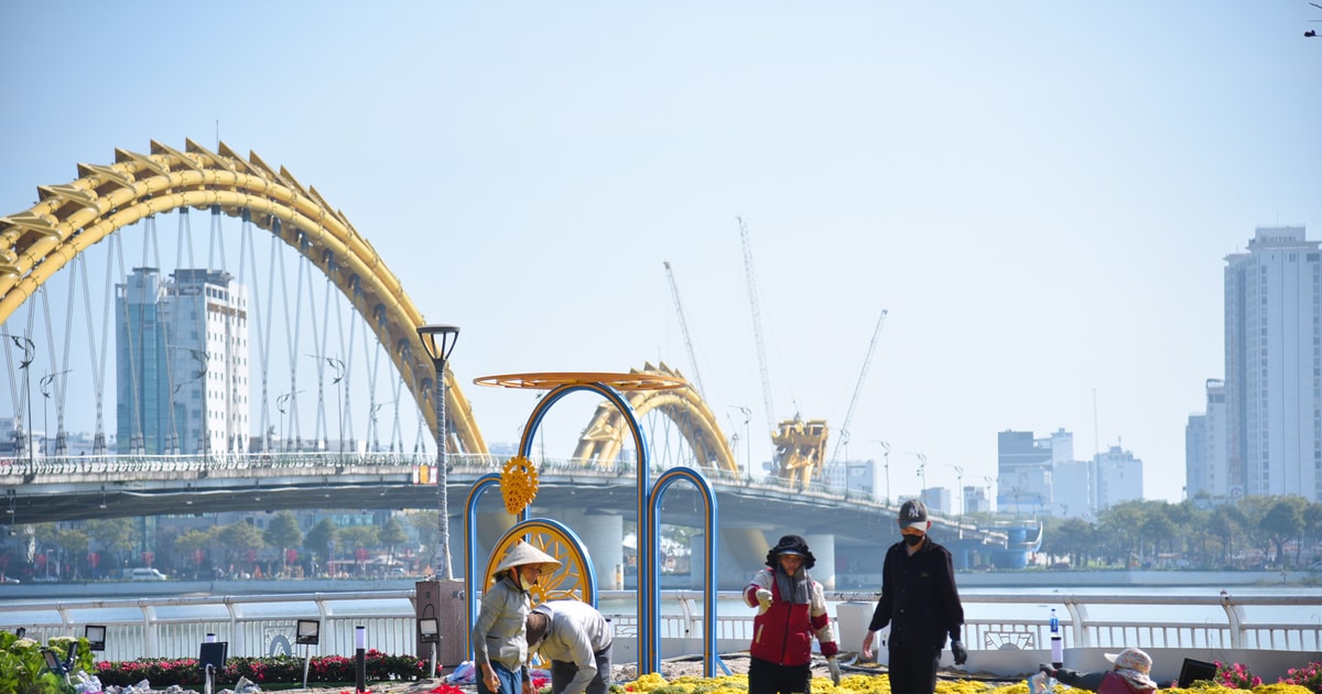 Da Nang Spring Flower Street 2026: A much-awaited destination