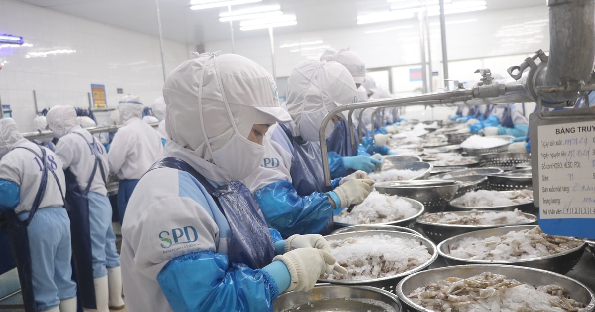Da Nang strengthening trade and import - export activities